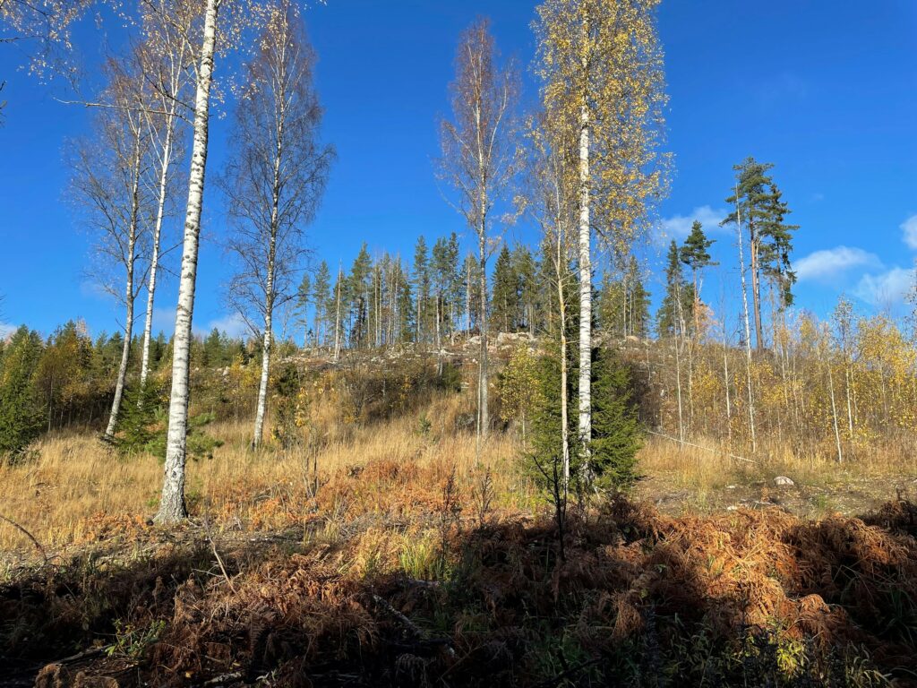 Microsoftin datakeskushanke etenee Vihdissä - Vihti