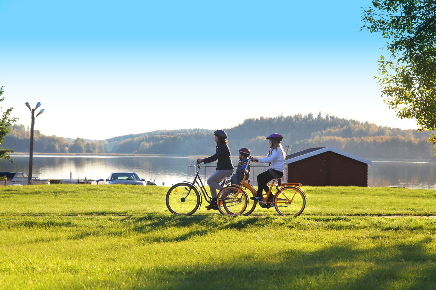 Vaakuna ja viiri - Vihti